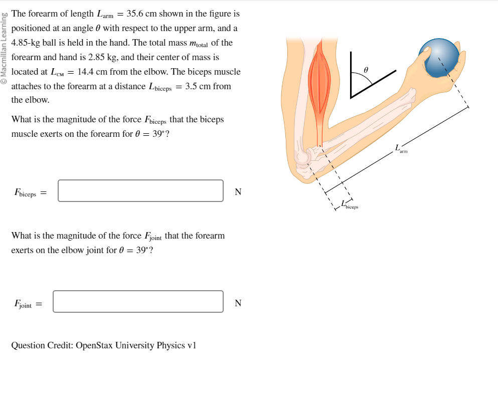 Solved The forearm of length Larm=35.6 cm shown in the | Chegg.com