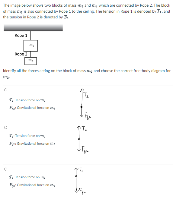 Solved The image below shows two blocks of mass m1 and m2 | Chegg.com