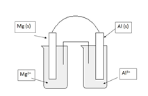 Solved Mg2+ + 2e- --> Mg(s) Eo = -2.372 V Al3+ + 3e- | Chegg.com