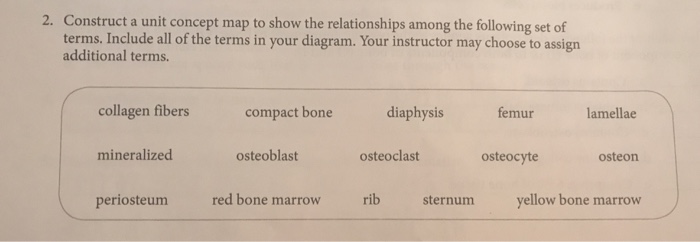 Solved 2. construct a unit concept map to show the | Chegg.com