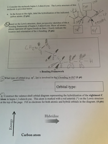 Solved 2. Consider the molecule hepta-1,3-dien-6-yne. The | Chegg.com