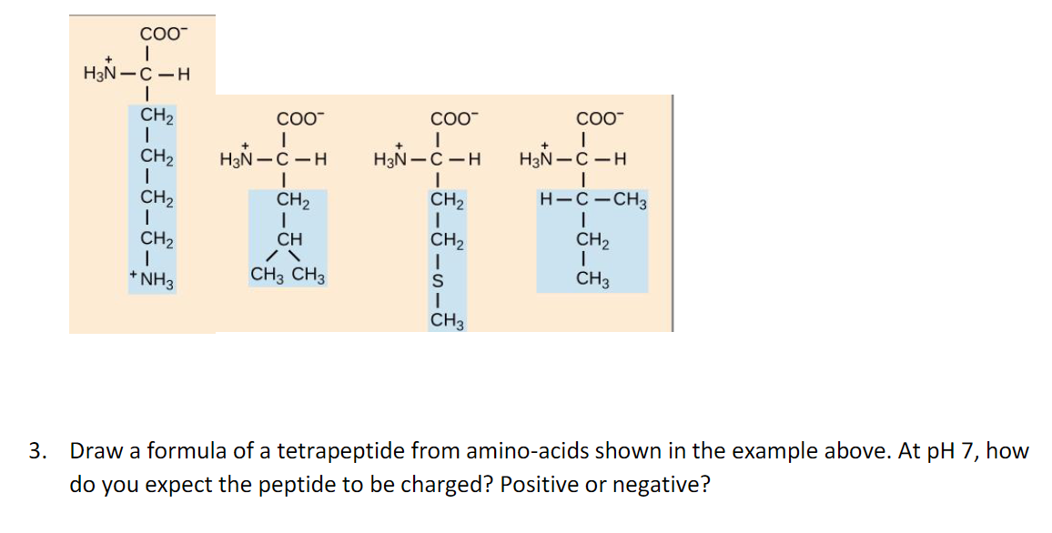 Solved COO- | H3N-C-H 1 CH2 1 CH2 I CH2 1 CH2 1 COO- 1 | Chegg.com