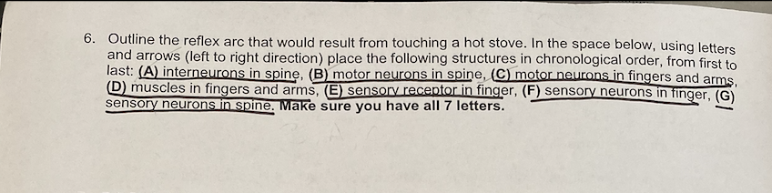 Solved 6. Outline the reflex arc that would result from | Chegg.com