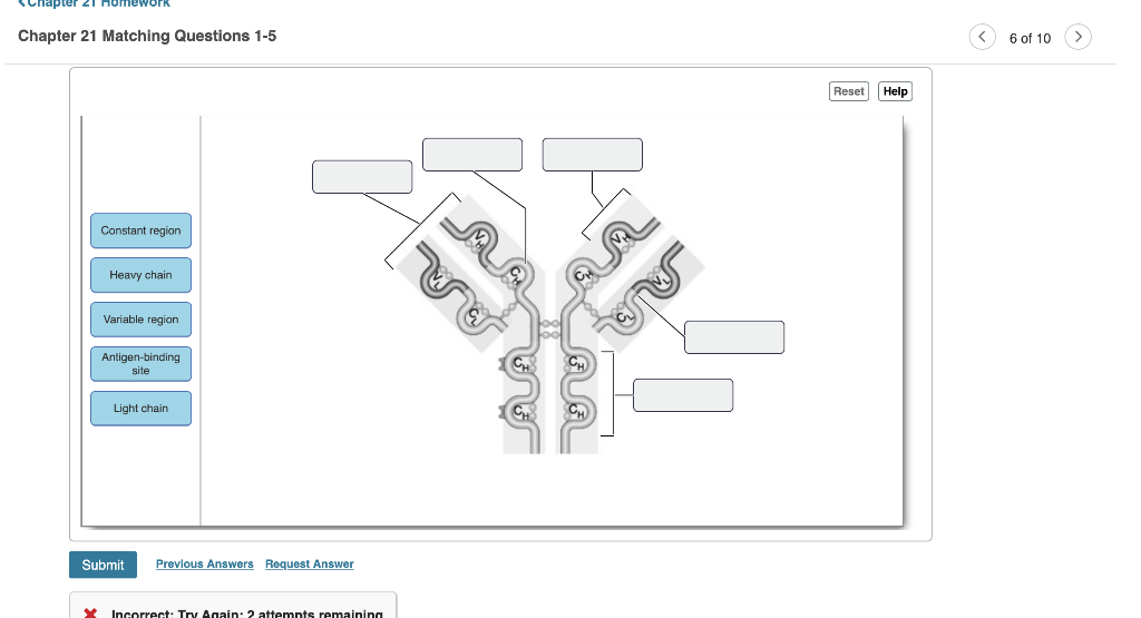 Solved Chapter 21 Matching Questions 1-5 6 of 10 Reset Help | Chegg.com Solved Chapter 21 Matching Questions 1-5 6 of 10 Reset Help | Chegg.com