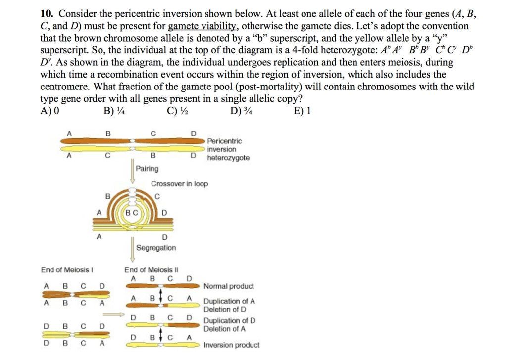 Solved 10. Consider the pericentric inversion shown below. | Chegg.com