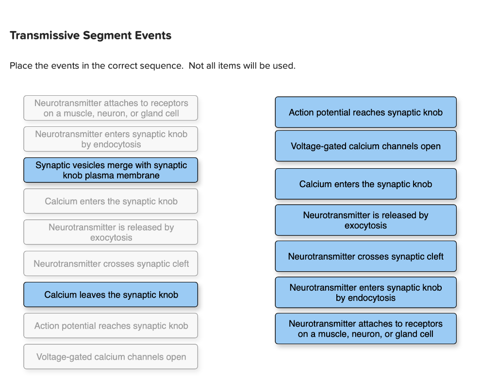 Solved Transmissive Segment Events Place the events in the | Chegg.com