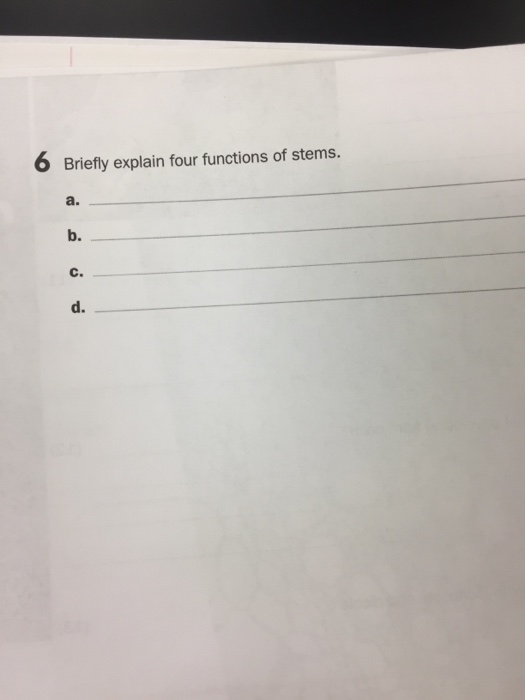 Solved Briefly explain four functions of stems. | Chegg.com