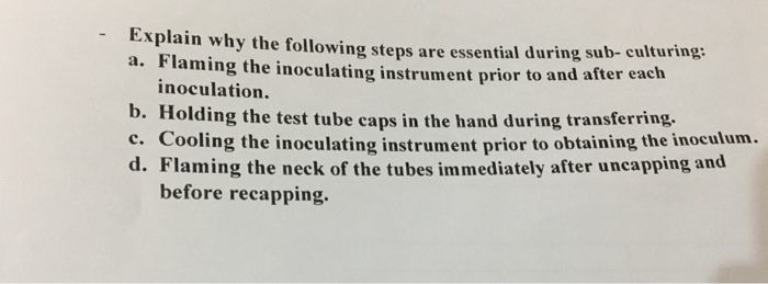 Solved Explain why the following steps are essential during | Chegg.com
