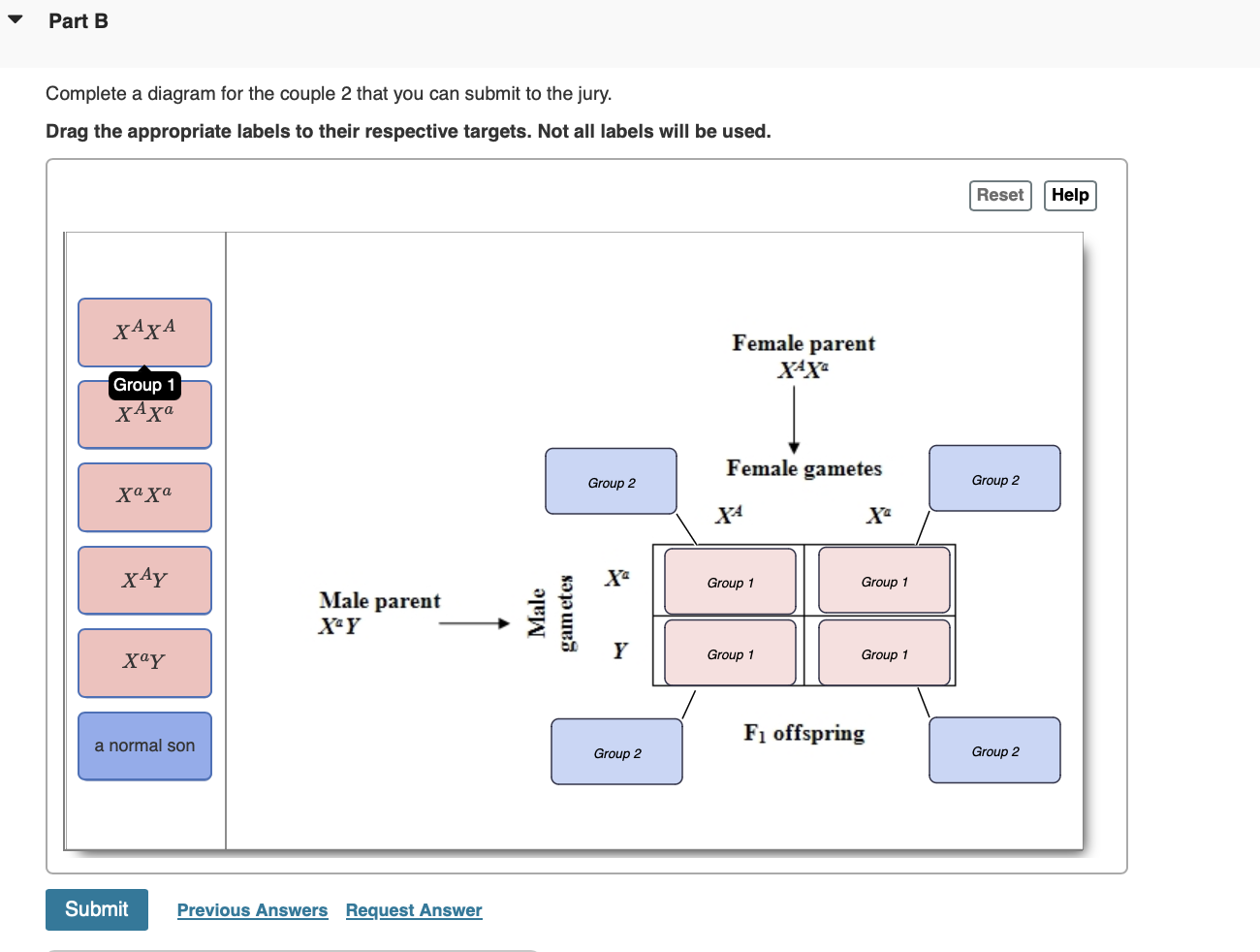 Solved Complete a diagram for the couple 2 that you can | Chegg.com