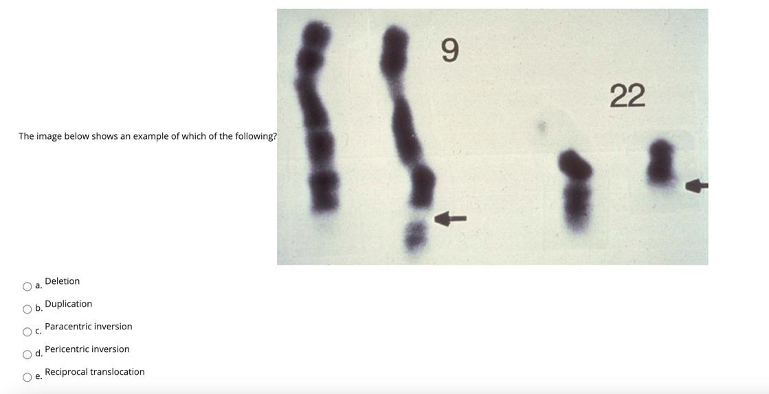 Solved 9 22 The image below shows an example of which of the | Chegg.com