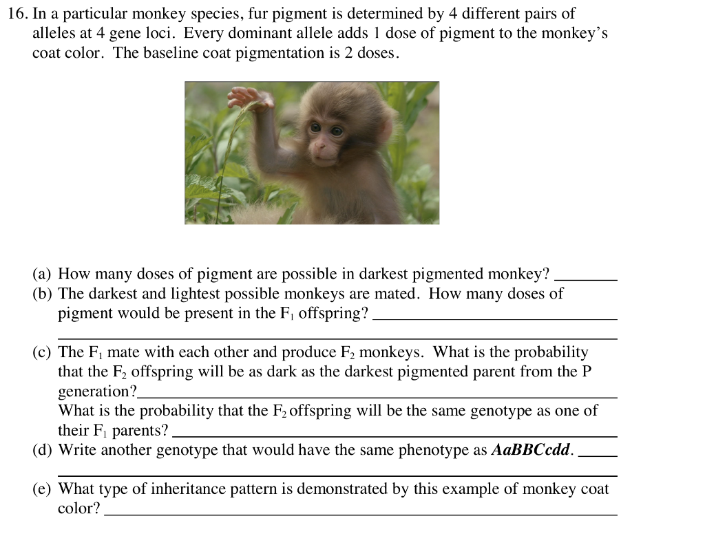 Solved 14. A human individual is phenotypically female, but | Chegg.com