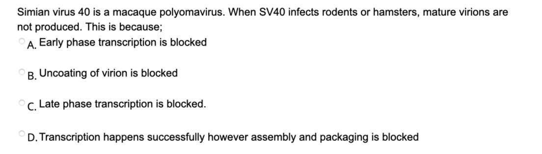 Solved Simian virus 40 is a macaque polyomavirus. When SV40 | Chegg.com