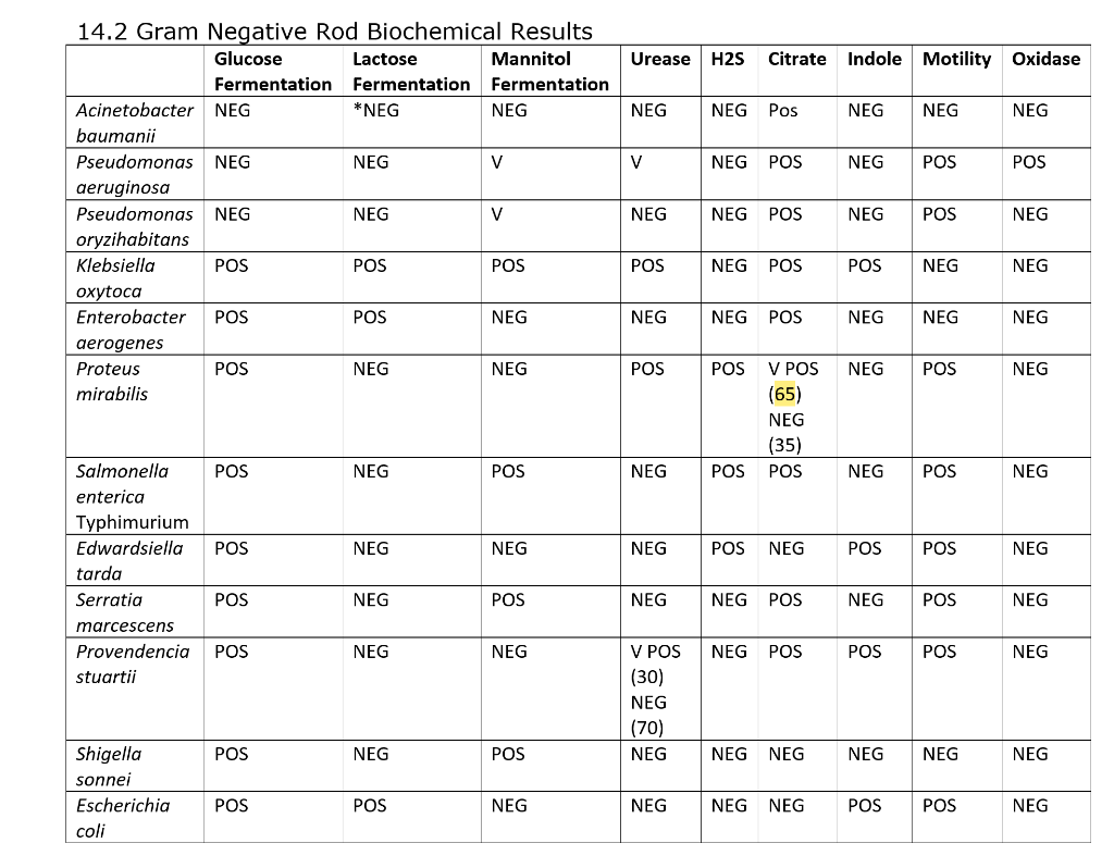 Urease H2S Citrate Indole Motility Oxidase NEG NEG | Chegg.com