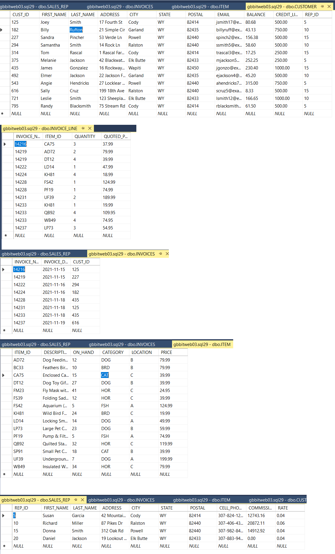 Solved PET SUPPLIES1. ﻿Create a view named MAJOR_CUSTOMER. | Chegg.com