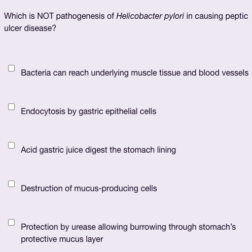 Solved Which is NOT pathogenesis of Helicobacter pylori in | Chegg.com