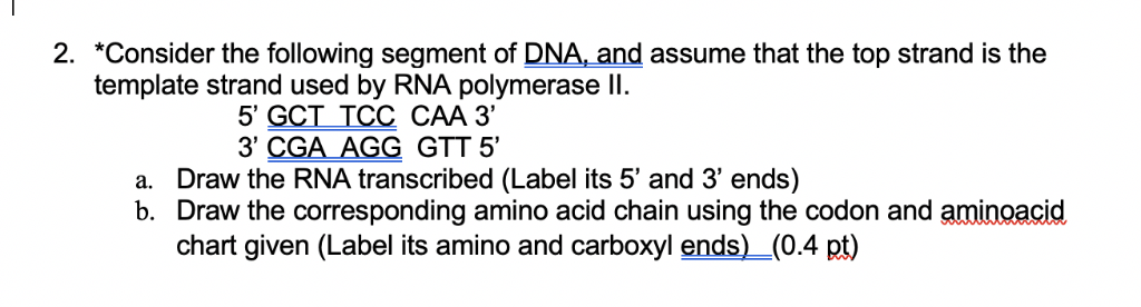Solved 2· "Consider the following segment of DNA, and assume | Chegg.com