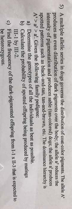a multiple allele series in dog governs the | Chegg.com