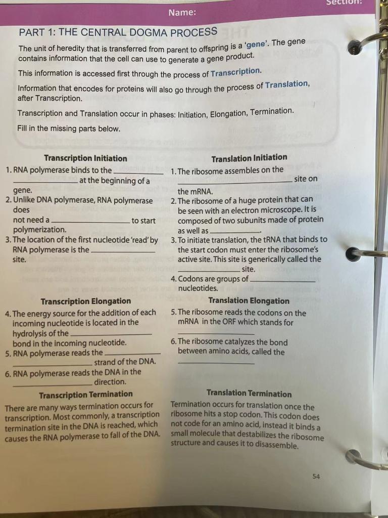 Solved section: Name: PART 1: THE CENTRAL DOGMA PROCESS The | Chegg.com