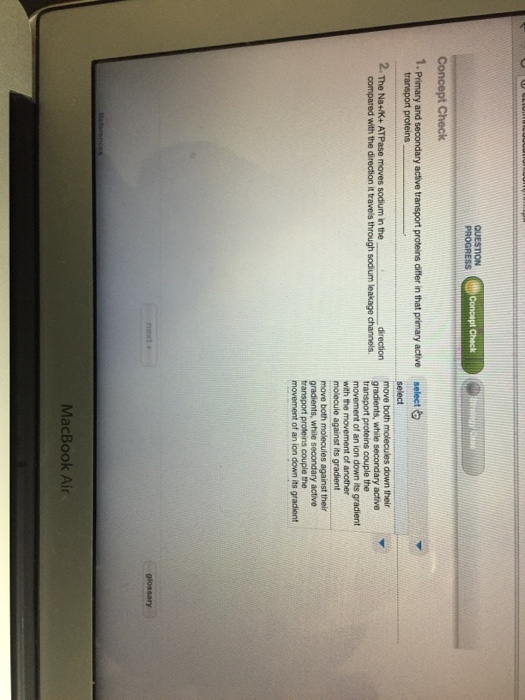 Solved Primary and secondary active transport proteins | Chegg.com