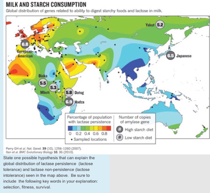 Lactase Persistence Map
