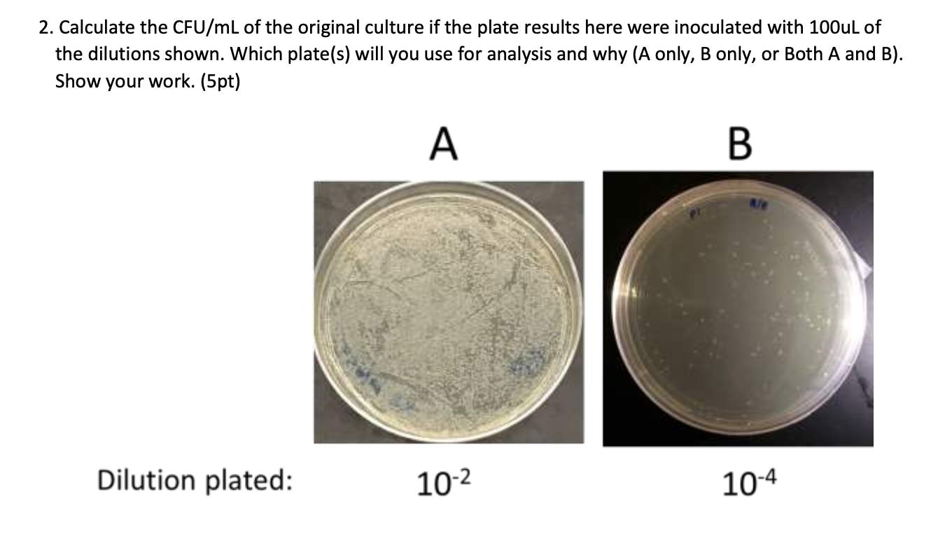 Solved 2. Calculate the CFU/mL of the original culture if | Chegg.com