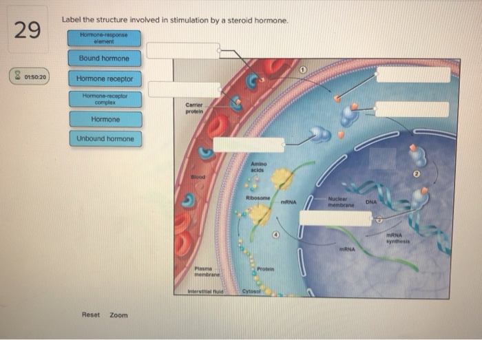 Solved Label the structure involved in stimulation by a | Chegg.com