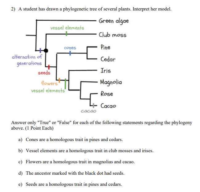 Solved 2) A student has drawn a phylogenetic tree of several | Chegg.com
