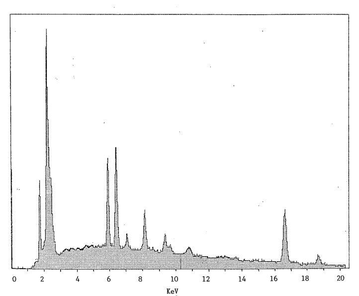 Solved Spectra 2 and 3 were collected from very different | Chegg.com