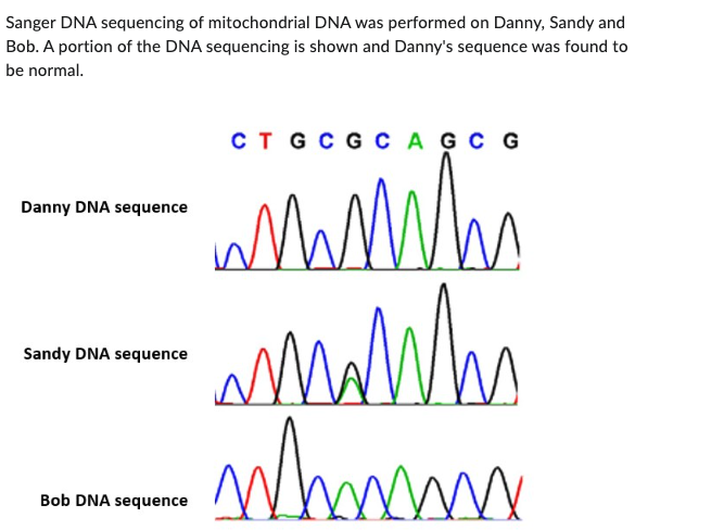 Solved Sanger DNA sequencing of mitochondrial DNA was | Chegg.com