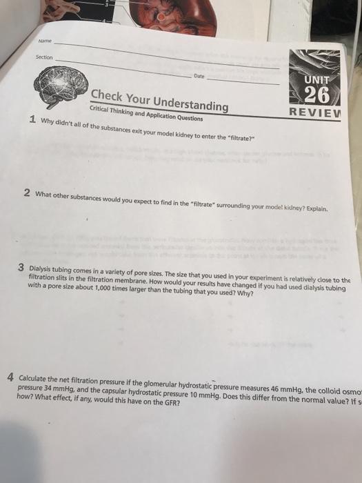 Solved Name Section NIT Date 26 Check Your Understanding | Chegg.com