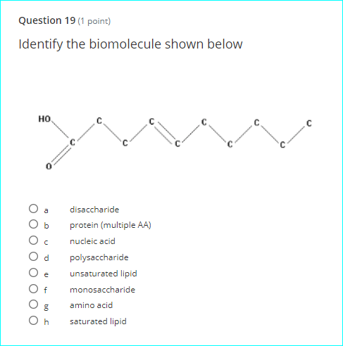 Solved Question 19 (1 point) Identify the biomolecule shown | Chegg.com
