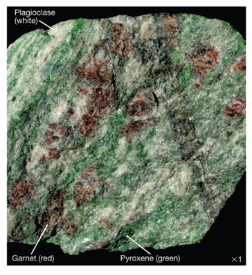 Solved 1. What is the name of the above metamorphic rock? | Chegg.com