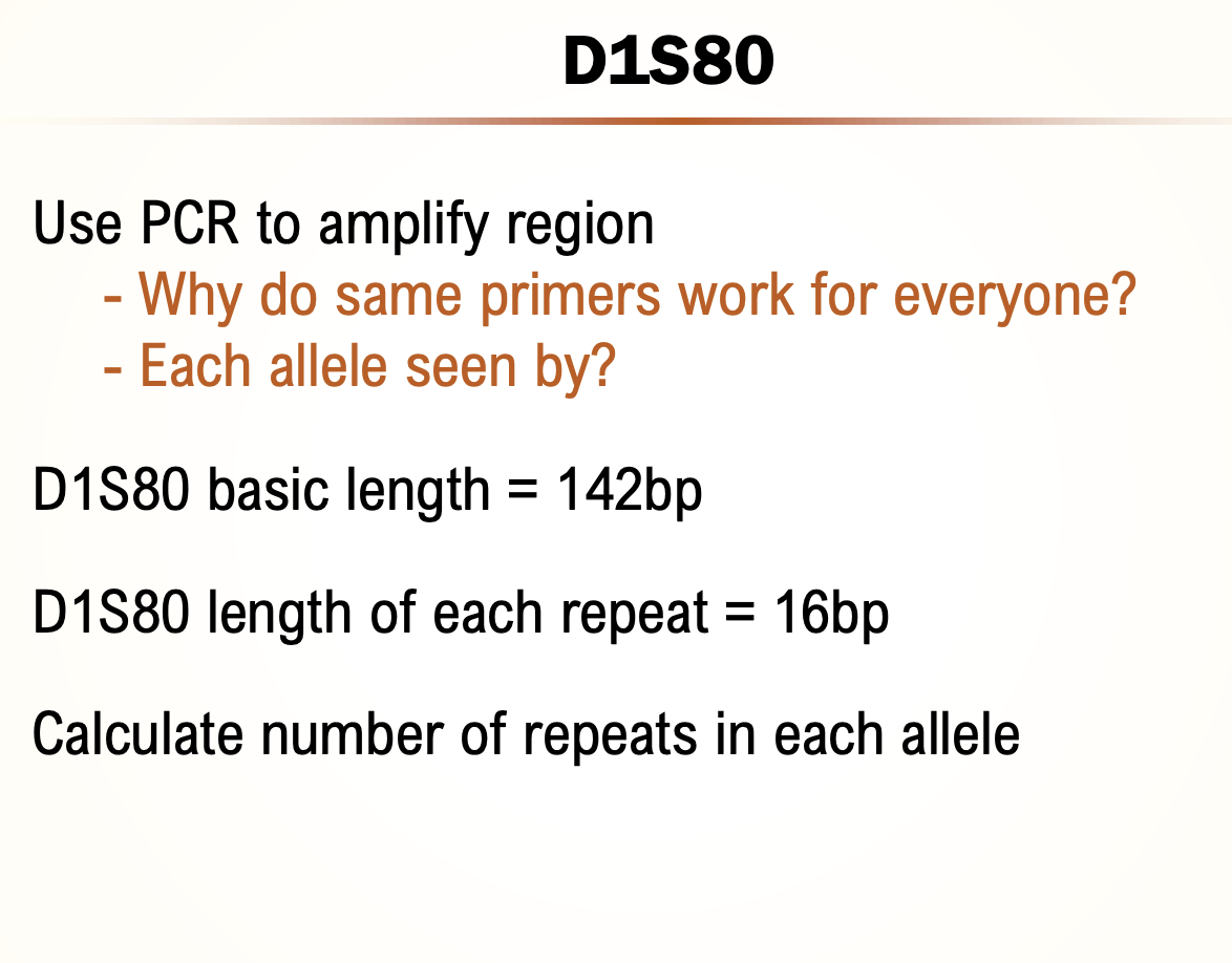 Solved D1880 Use PCR to amplify region - Why do same primers | Chegg.com