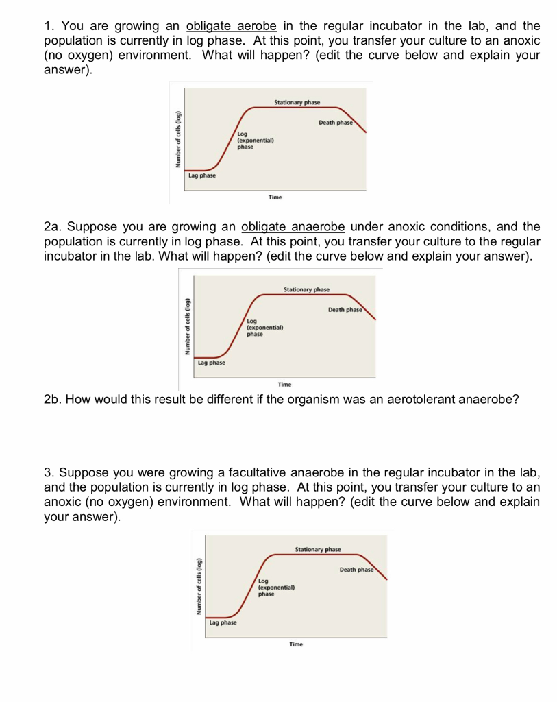 Solved 1. You are growing an obligate aerobe in the regular | Chegg.com
