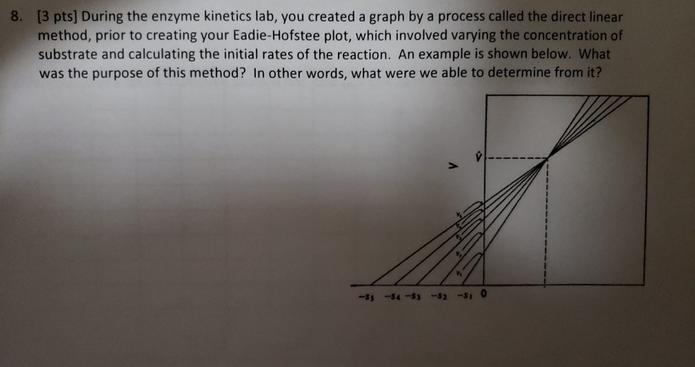 Solved [3 pts] During the enzyme kinetics lab, you created a | Chegg.com