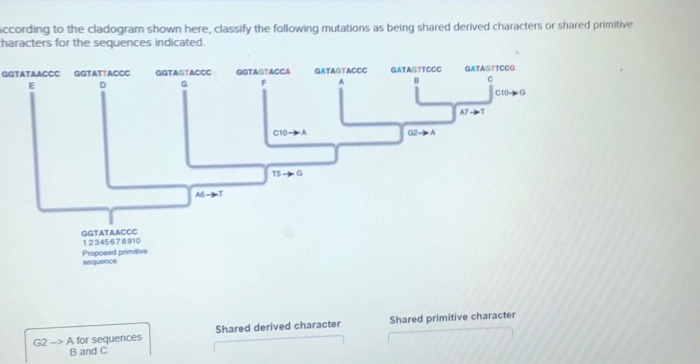 Solved ccording to the cladogram shown here, classify the | Chegg.com