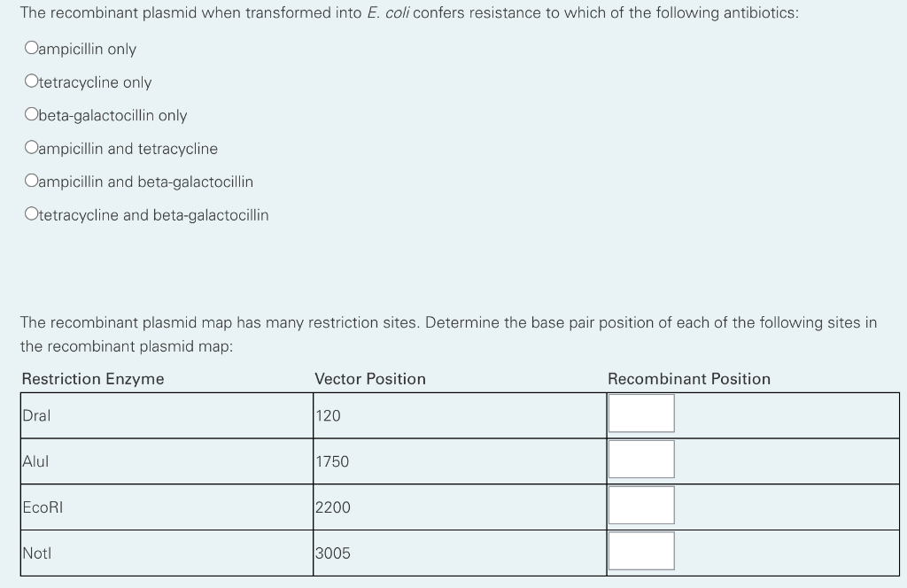 Solved You wish to make a recombinant DNA molecule that will | Chegg.com