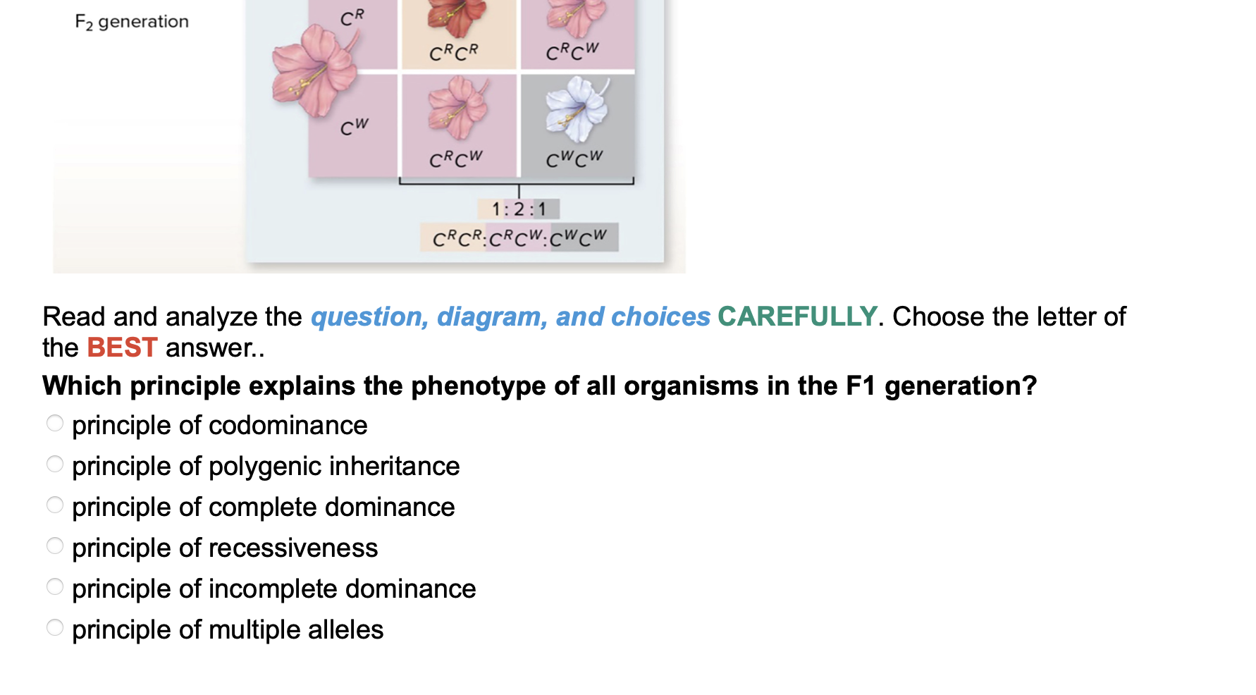 Solved Parent generation Cross-fertilization F1 generation | Chegg.com