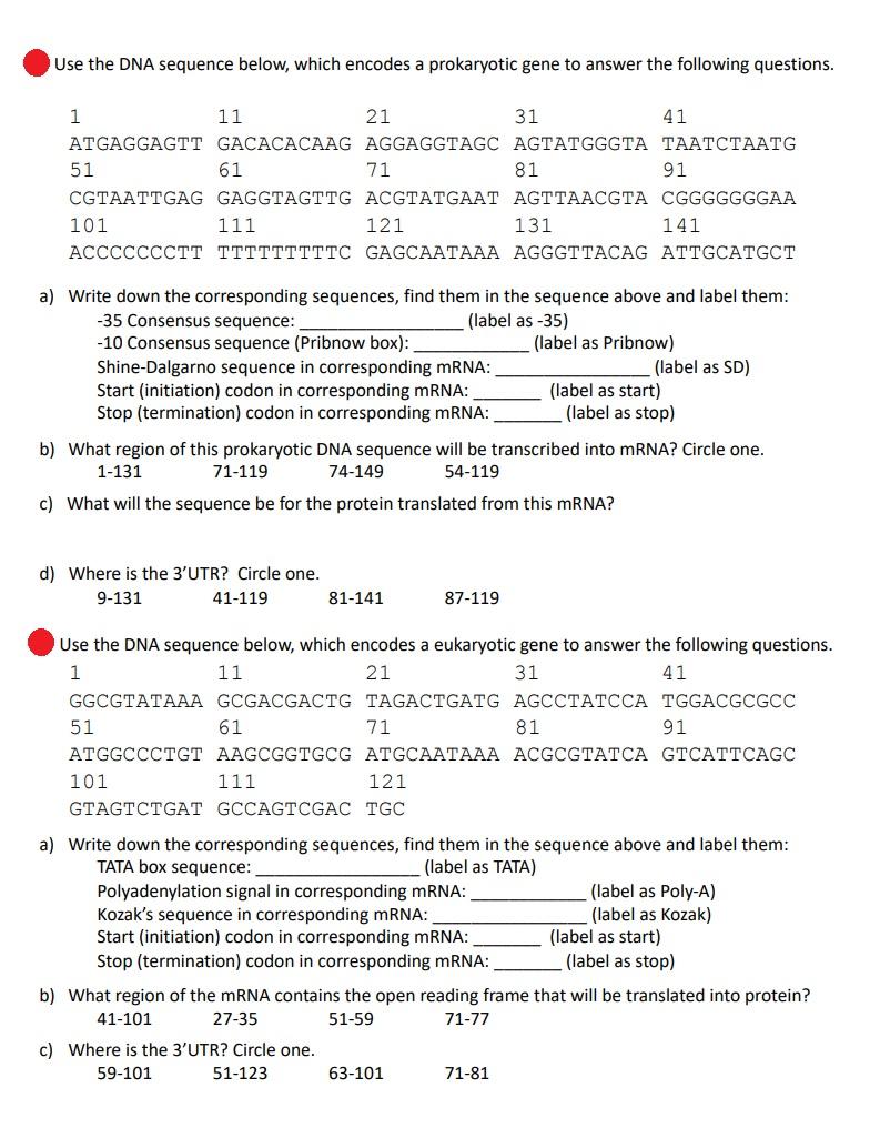 Solved Use the DNA sequence below, which encodes a | Chegg.com