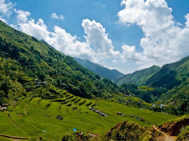 A function to calculate the pyramid image of the | Chegg.com