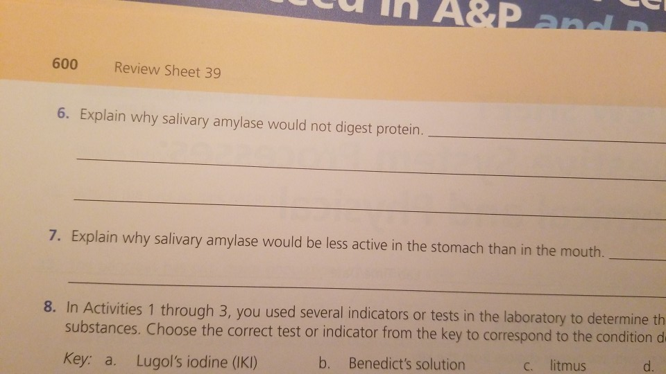Solved 6. Explain why salivary amylase would not digest | Chegg.com Solved 6. Explain why salivary amylase would not digest | Chegg.com