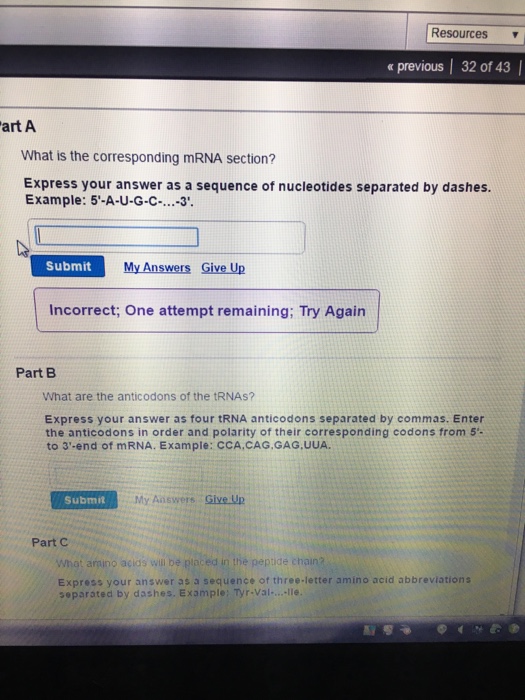 Solved What is the corresponding mRNA section? Express your | Chegg.com