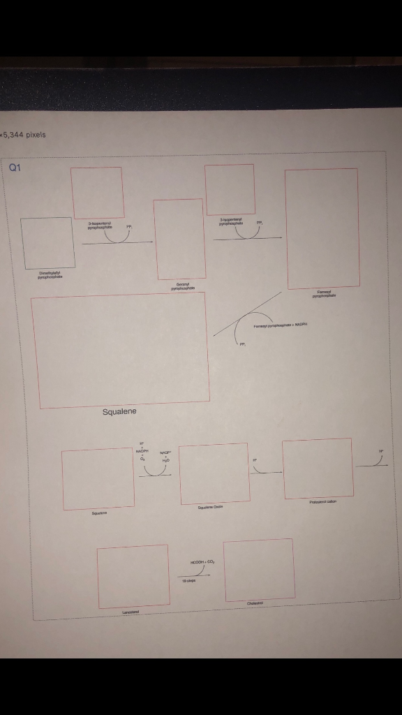 Solved Fill in boxes labelled Q1on worksheets 4, 9, and 14 | Chegg.com