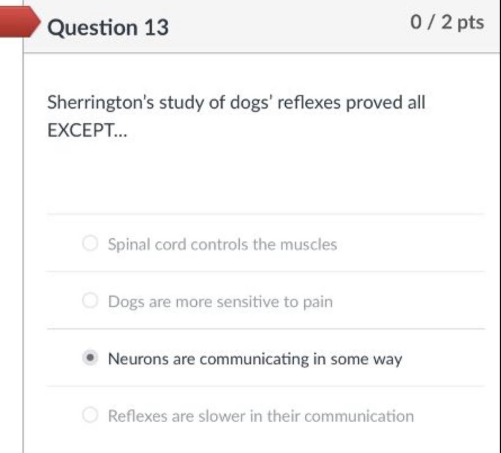 Solved Question 13 0/2 pts Sherrington's study of dogs' | Chegg.com