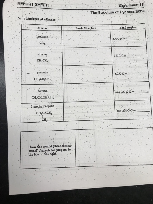 Solved REPORT SHEET: Experiment 16 The Structure of | Chegg.com