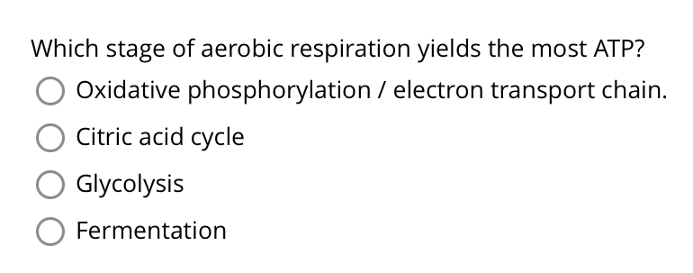Solved Which stage of aerobic respiration yields the most | Chegg.com