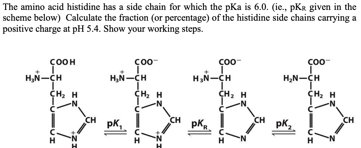 Solved The amino acid histidine has a side chain for which | Chegg.com
