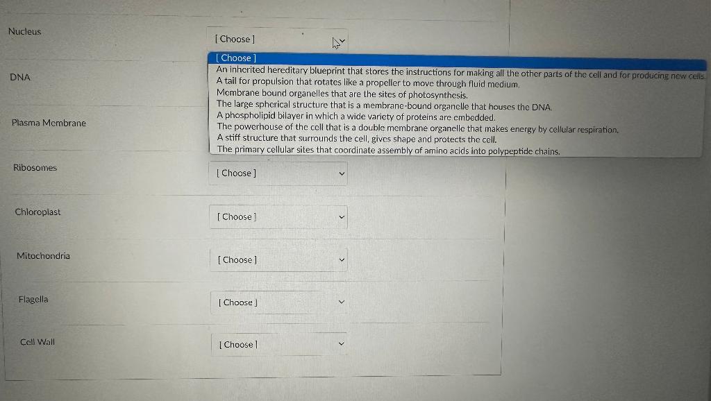 Solved Nucleus [Choose ] An inherited hereditary blueprint | Chegg.com