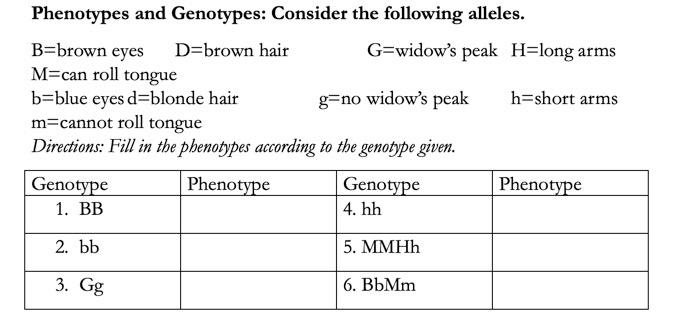 Solved Phenotypes and Genotypes: Consider the following | Chegg.com