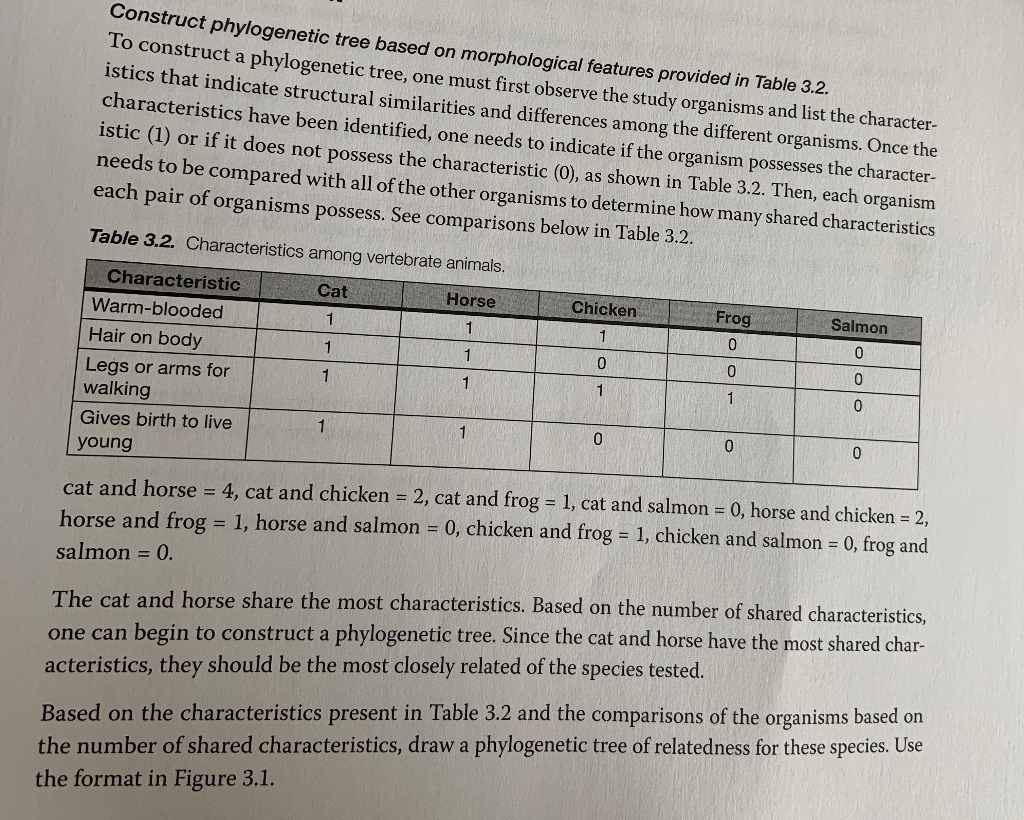 Solved Construct phylogenetic tree based on morphological | Chegg.com